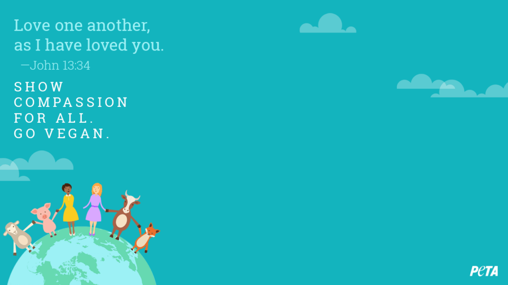 New Christian Zoom Background for Church Livestreams Is Here! | PETA