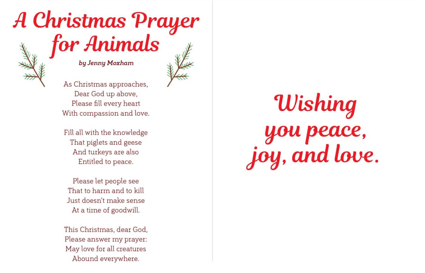Help Bring Joy to Every Heart With PETA’s Christmas Card | PETA