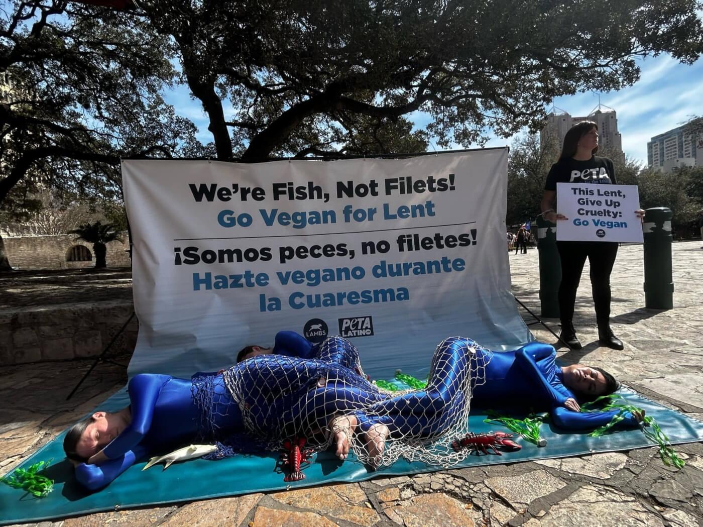 PETA Latino and PETA LAMBS Cast a Net on Texans