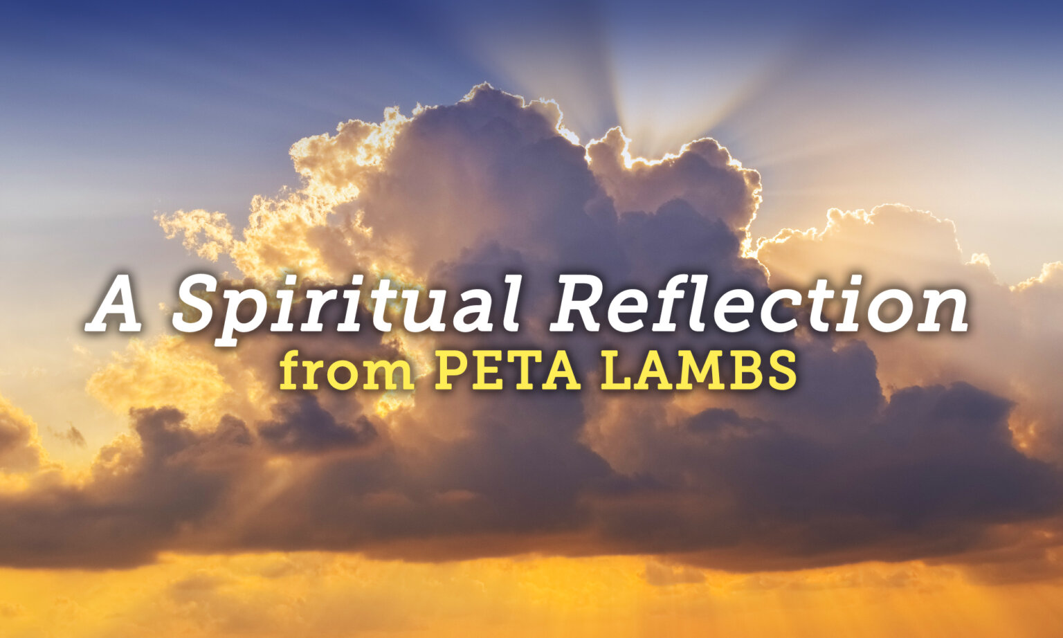 A Reflection on Christ’s Compassion - PETA LAMBS